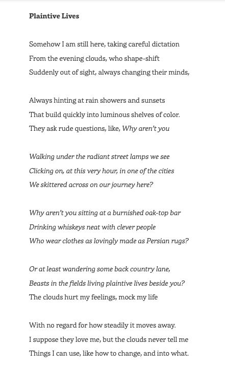 Four Contemporary Southern Poems For People Who “Don’t Like” Poetry ...