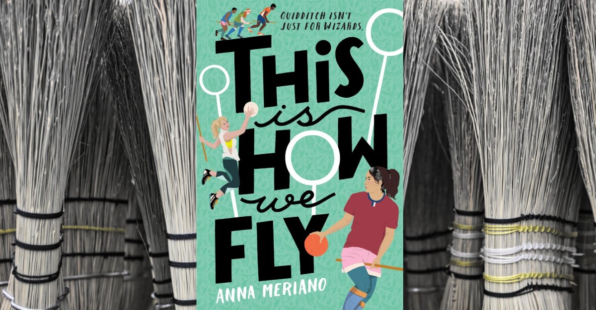 Conflict, Joy, and Community in “This is How We Fly” – Southern Review ...