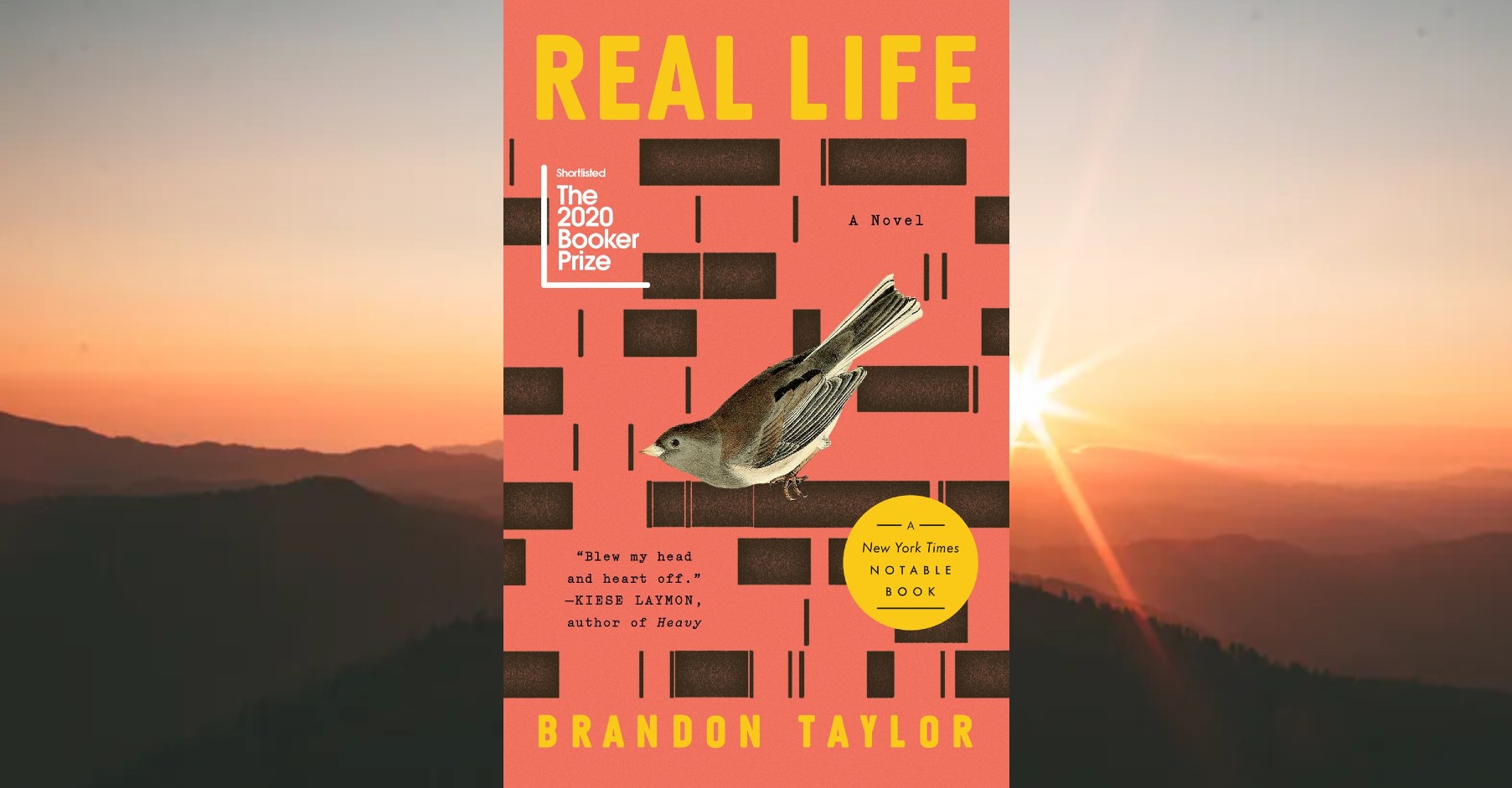 “Real Life” Captures Both the Dreamy and Gritty Qualities of Grad ...