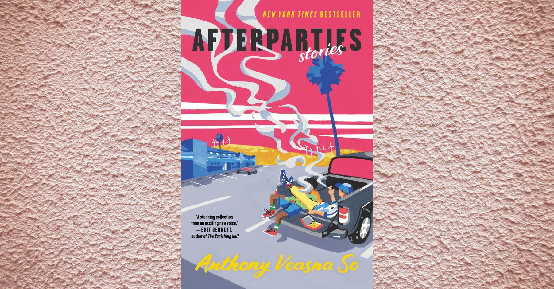 Ambiguous Meaning of Survival in “Afterparties” – Southern Review of Books