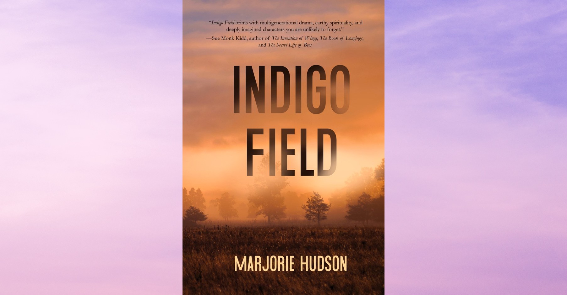 Magic, Mysticism Amid Hard Times in “Indigo Field” – Southern Review of ...