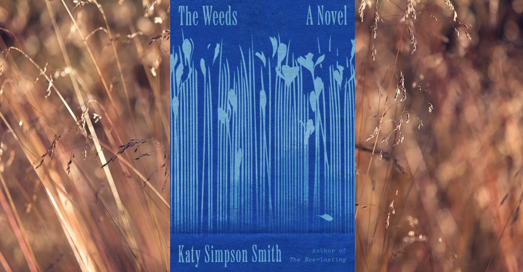 Weeding out Gender Inequity in Katy Simpson Smith’s “The Weeds ...