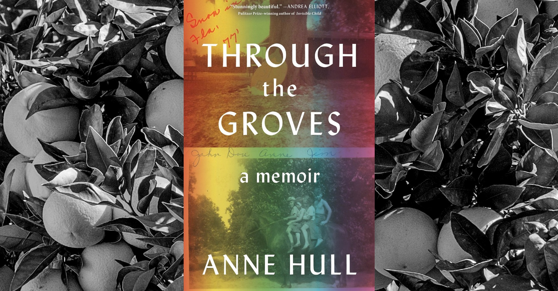 Oranges, Tradition, and Survival In “Through the Groves” – Southern ...