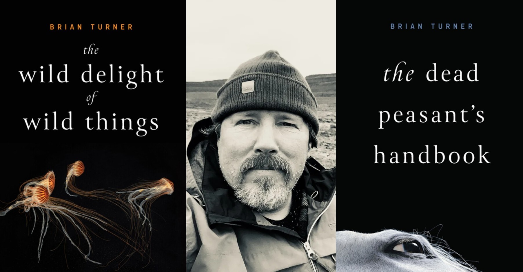 Brian Turner’s Triple Poetry Release is a Triptych Times Three ...