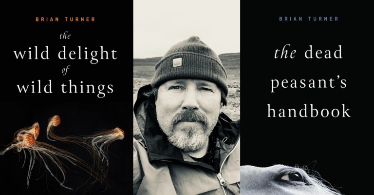 Brian Turner’s Triple Poetry Release is a Triptych Times Three ...