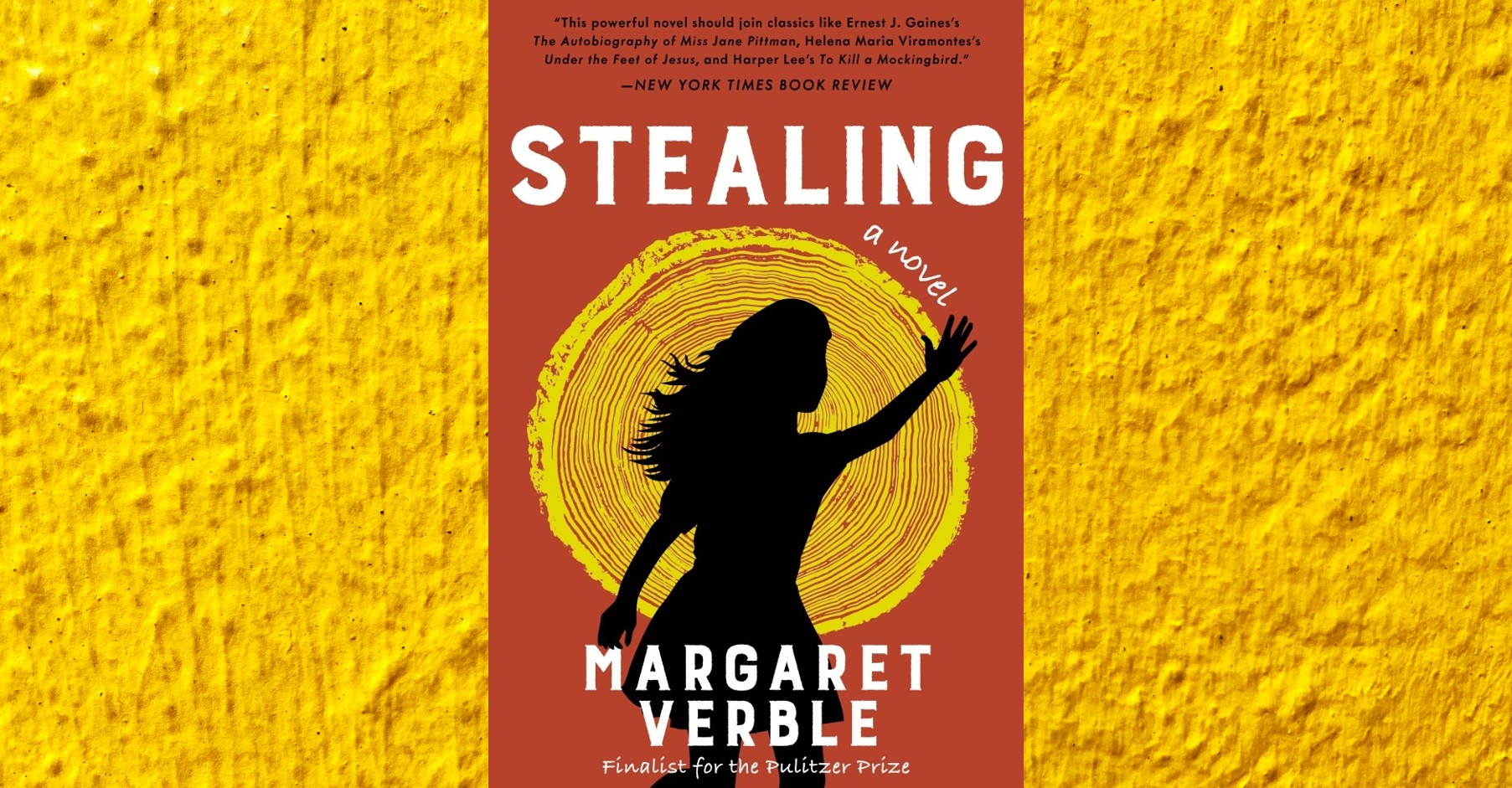 “Stealing” Is Astute, Sensitive, and Relevant – Southern Review of Books