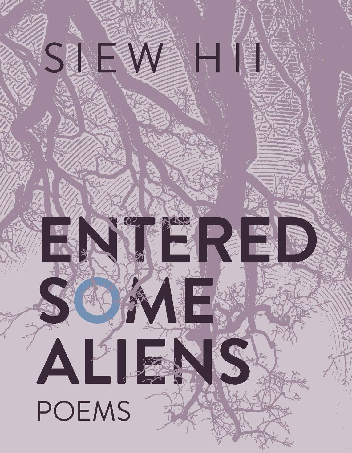A Poet Longs for Home in “Entered Some Aliens” – Southern Review of Books